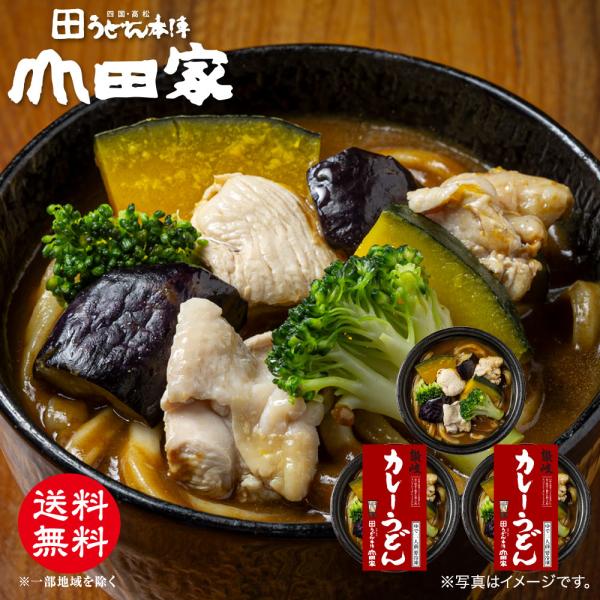【商品内容】讃岐彩り野菜と鶏カレーうどん1人前×3