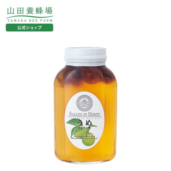 【包装・のし・メッセージカード対応をご希望の場合】「優良配送」の表記があっても「当日発送」「翌日発送」対象外とさせていただきます。ギフトシーズンにおきましては発送までに10日程お時間をいただく場合があり、それ以外の時期では2〜7日ほどお時間...