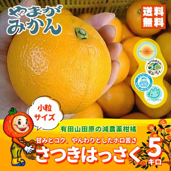 小粒な木成り・さつきはっさくはMサイズ以下の小さくて可愛いはっさく。普通のサイズだと大きすぎて食べられないという方や、10キロ箱は多いという方にオススメ！木成り・さつきハッサクとは、樹上で越冬して春ごろ収穫するはっさくです。完熟するまで木に...