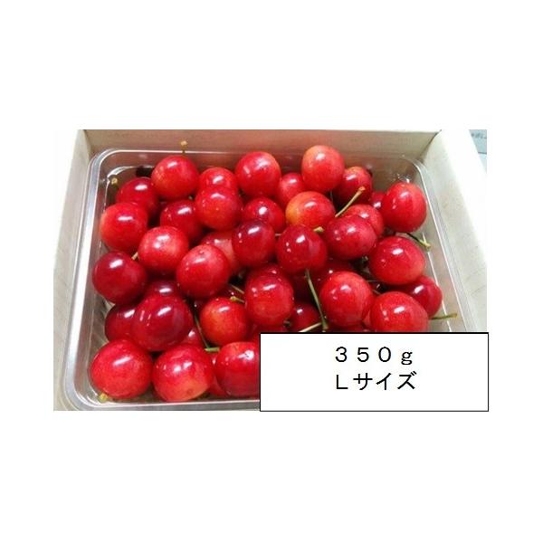 【発売日：2026年06月20日】【予約商品】ご自宅用に有機肥料を使用し、１粒１粒に愛情を込めた自家農園の果物。さくらんぼの中で味も人気もNo.１の佐藤錦をお楽しみ下さい。一部離島を除き全国発送いたします。２０２６年６月下旬に順次発送いたし...