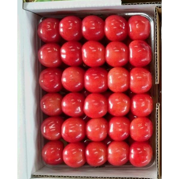 【発売日：2026年06月20日】【予約商品】ご贈答用に有機肥料を使用し、１粒１粒に愛情を込めた自家農園の果物。さくらんぼの中で味も人気もNo.１の佐藤錦。最高級の佐藤錦を丁寧につめました。２０２６年６月下旬に順次発送いたします。到着日のご...