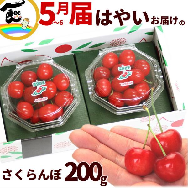 商品内容山形県産 さくらんぼ 早いお届けの佐藤錦 秀品 M または Lサイズ 200g(100g×2P)商品説明旬を先取り！宝石のように輝く初夏の味わい！旬を迎える前に、ちょっと早いお届けの価値あるさくらんぼです。まだ露地栽培の佐藤錦が出回...