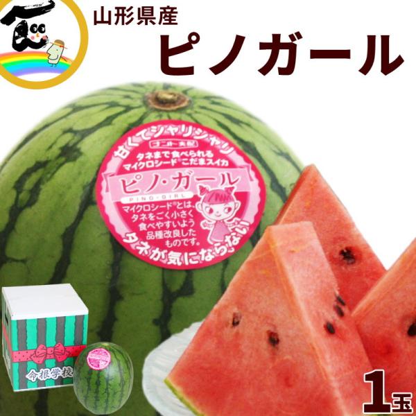 商品内容山形県産 ピノガールA品、1.3kg×1玉※箱、パッケージは予告なく変更される場合がございます。あらかじめご了承ください。発送時期7月中旬〜8月中旬頃※収穫状況により発送時期が前後する場合がございます。あらかじめご了承ください。※青...