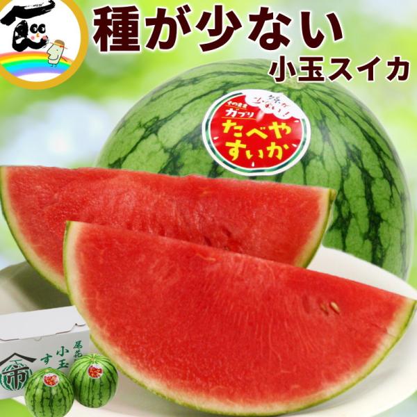 商品内容山形県産 尾花沢すいか 種が少ないスイカA品、2玉 (各2.5kg)※箱、パッケージは予告なく変更される場合がございます。あらかじめご了承ください。発送時期7月下旬〜8月中旬頃※収穫状況により発送時期が前後する場合がございます。あら...