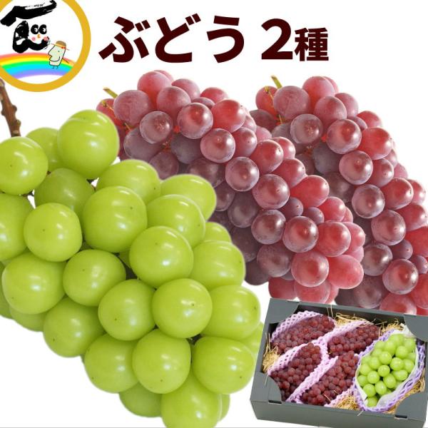 商品内容ぶどう2種 詰合せ福島県産シャインマスカット：秀品、500ｇ×1房山形県産デラウエア：秀品、4房※箱、パッケージは予告なく変更される場合がございます。あらかじめご了承ください。発送時期7月下旬〜8月下旬頃※収穫状況により発送時期が前...