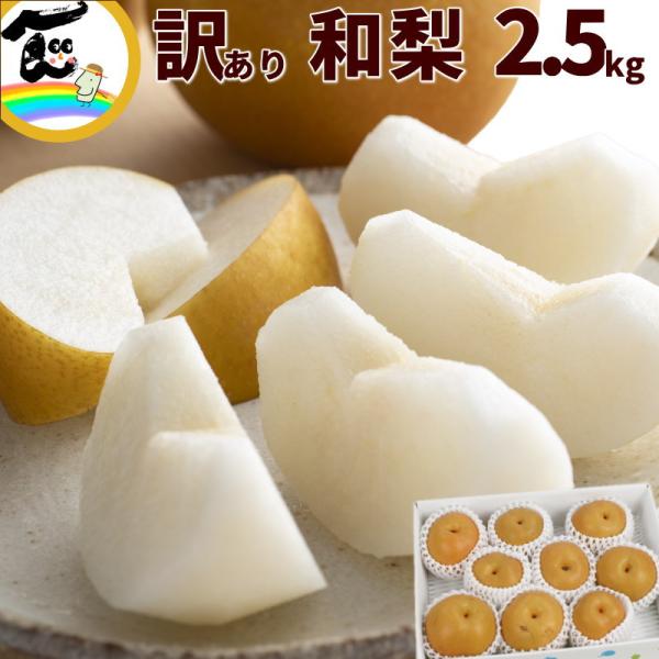 商品内容福島または山形県産 訳あり 和梨　2.5kg、個数おまかせ※小玉・変色・傷・へこみ・変形・不揃い品※品種の指定はご容赦ください。※箱、パッケージは予告なく変更される場合がございます。あらかじめご了承ください。発送時期8月中旬〜9月中...