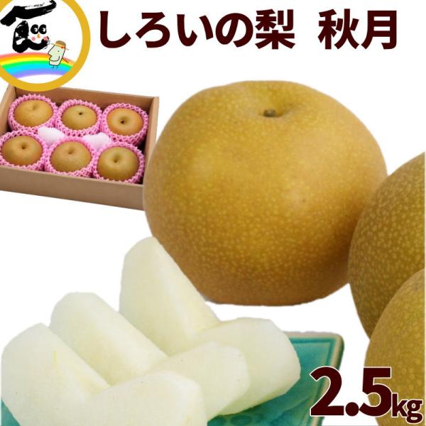 商品内容千葉県産 しろいの梨 秋月秀品、2.5kg (5〜8玉)※箱、パッケージは予告なく変更される場合がございます。あらかじめご了承ください。発送時期9月上旬〜9月中旬頃※収穫状況により発送時期が前後する場合がございます。あらかじめご了承...