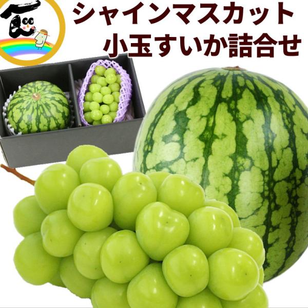 商品内容シャインマスカット・小玉すいか　詰合せ福島県産シャインマスカット：秀品、500g×1房山形県産小玉すいか：秀品、1.5kg×1玉※箱、パッケージは予告なく変更される場合がございます。あらかじめご了承ください。発送時期7月下旬〜8月上...
