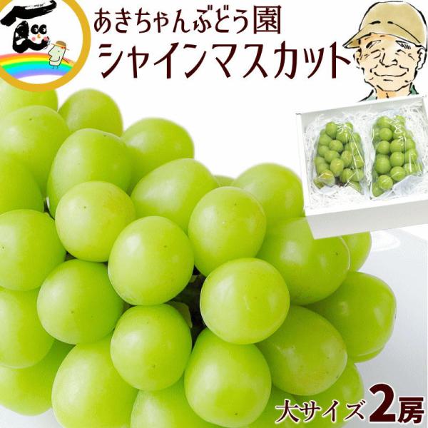 商品内容山形県産 あきちゃんぶどう園 シャインマスカット秀品、600g×2房　計1.2kg※種なし品種ですが、稀に種が入る場合があります。※箱、パッケージは予告なく変更される場合がございます。あらかじめご了承ください。発送時期9月中旬〜10...