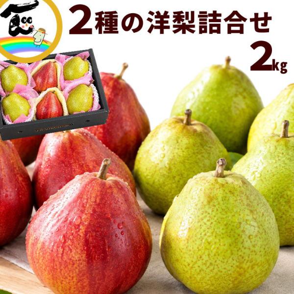 商品内容山形県産　2種の洋梨詰め合わせリーガル・レッド・コミス：秀品、2玉ラ・フランス：秀品、4玉※箱、パッケージは予告なく変更される場合がございます。あらかじめご了承ください。発送時期11月上旬〜12月下旬頃※収穫状況や天候・自然条件によ...