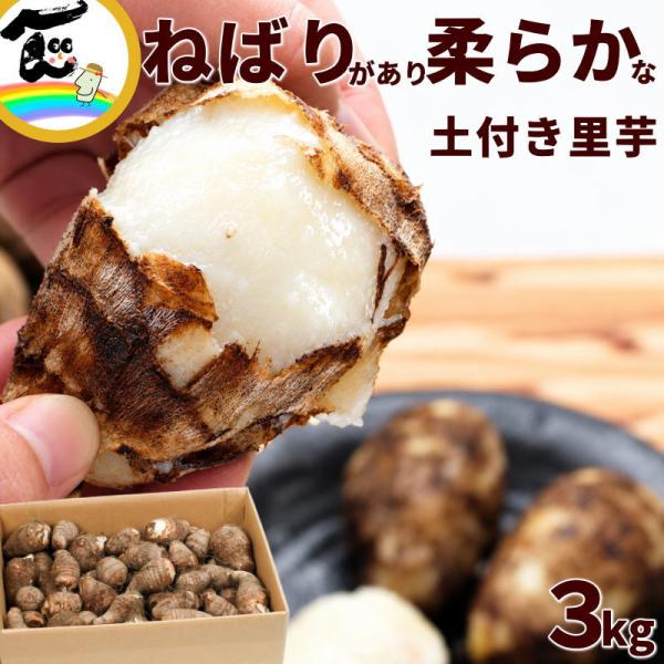 商品内容山形県産 土付き里芋 (どだれ種) 3kg※箱、パッケージは予告なく変更される場合がございます。あらかじめご了承ください。発送時期10月下旬〜11月下旬頃※収穫状況や天候・自然条件により、発送・お届け時期が前後する場合がございます。...
