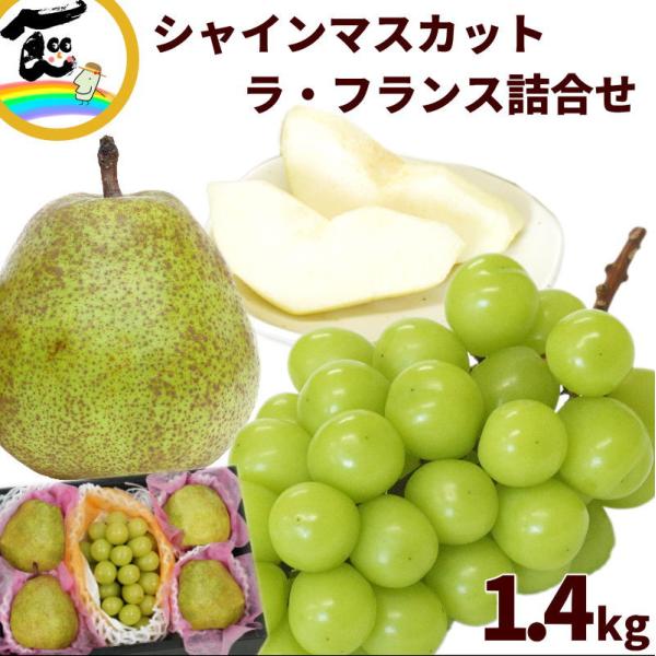 商品内容山形県産 シャインマスカットとラ・フランス詰合せ　シャインマスカット：秀品、500g　ラ・フランス：秀品、4〜5個、商品説明山形県が誇るフルーツ「シャインマスカット」と、西洋なし「ラ・フランス」のおいしい詰合せ！一度で二度おいしい、...