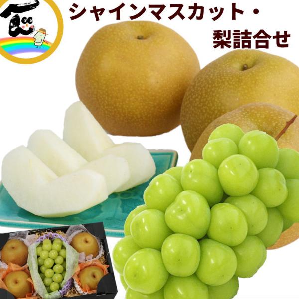 商品内容山形県産 シャインマスカット＆梨詰合せ(シャインマスカット ：秀品、1房、500g、梨：秀品、4個〜5個)商品説明山形県産のおいしい梨と、皮ごと食べられる大粒種なしぶどうシャインマスカットをセットでお届けします。1箱で2種類の味が楽...