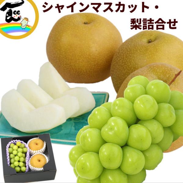 商品内容山形県産 和梨とシャインマスカット詰合せ（シャインマスカット ：秀品、1房、500g、和梨 ：秀品、2個）※箱、パッケージは予告なく変更される場合がございます。あらかじめご了承ください。商品説明冬でも美味しく楽しめる、山形県産の贅沢...