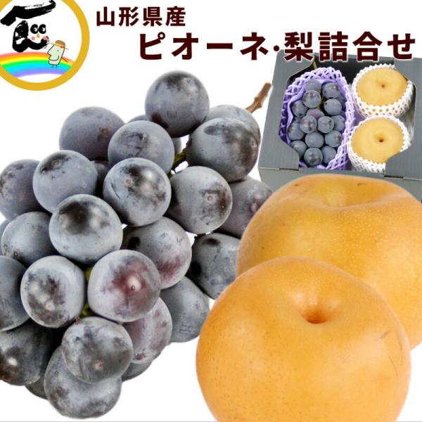 商品内容山形県産大粒黒ぶどうと梨　詰合せぶどう（ピオーネ）：秀品 約500g和梨：秀品 2個（各300g以上）※箱、パッケージは予告なく変更される場合がございます。あらかじめご了承ください。商品説明冬に味わう贅沢。梨とピオーネのフルーツギフ...