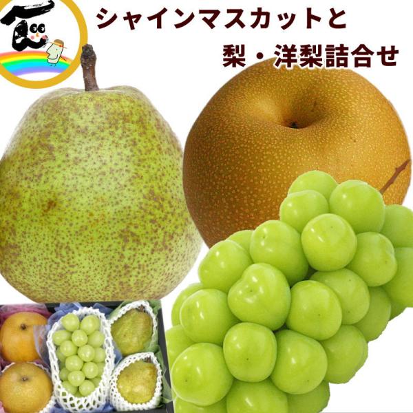 商品内容シャインマスカットと梨・洋梨詰合せ           シャインマスカット ：秀品、1房、550g            梨 (品種指定無し) ：秀品、2個洋梨 (コミスまたはラフランス) ：秀品、2個）商品説明福島・山形の旬のフル...