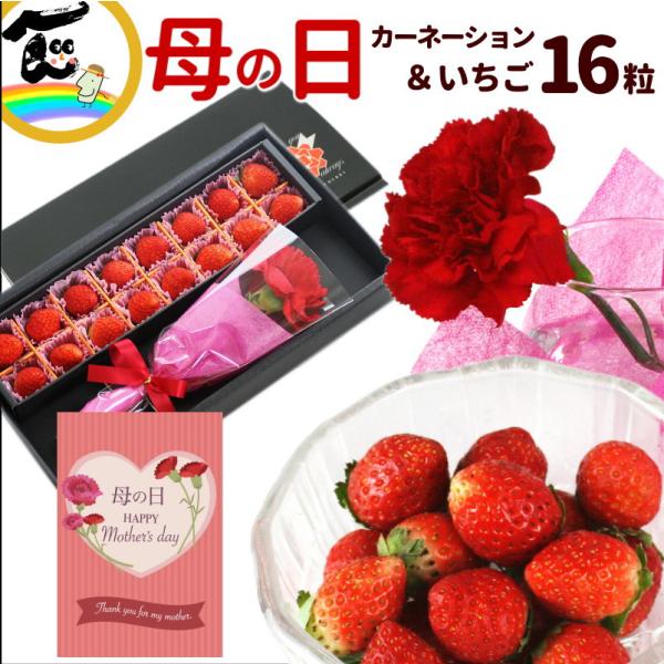 商品内容母の日ギフト宮城県産 いちごとカーネーションいちご：とちおとめ、16粒カーネーション：生花1本※母の日メッセージカード付※箱、パッケージは予告なく変更される場合がございます。あらかじめご了承ください。発送時期発送期間：5月5日〜5月...