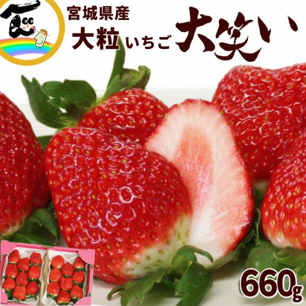 商品内容宮城県産 ごえんの大粒いちご 大笑い 330g×2パック（1パック8〜15粒／品種：とちおとめ 他）商品説明宮城県山元町産、ごえんの完熟大粒いちご「大笑い」濃い赤色と甘酸っぱい濃厚な味わいが特長。新鮮・高品質でギフトにも大人気！発送...