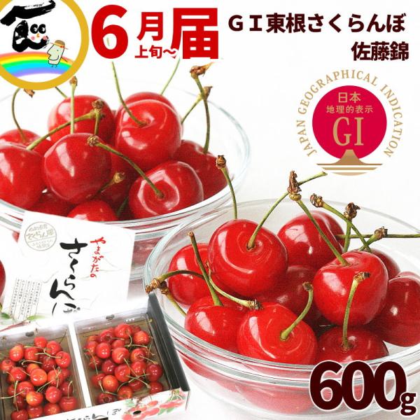 商品内容山形県産さくらんぼ GI東根さくらんぼ 600g (300g×2P)秀品 Lサイズ バラ詰 品種：佐藤錦※品種指定はご容赦ください。商品説明日本を代表するブランドとして登録された「GI東根さくらんぼ」。その中でも、人気・実力ともに不...