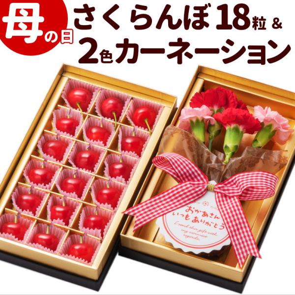 可愛らしい２色（赤・ピンク）カーネーションの切り花と、５月には珍しい加温栽培さくらんぼ「佐藤錦」をセットにした、母の日の特別なギフトボックスです。山形県で栽培された一足早く味わえる初夏の味・さくらんぼは、甘酸っぱくてジューシーな味わい♪目で...