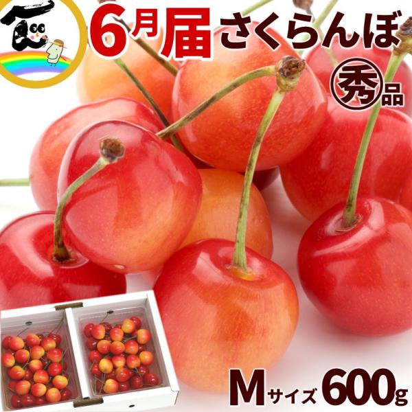 商品内容山形県産 訳あり さくらんぼ 佐藤錦または紅秀峰丸秀品 Mサイズ 600ｇ(300g×2P) バラ詰め※品種指定はご容赦ください。※箱、パッケージは予告なく変更される場合がございます。あらかじめご了承ください。発送時期6月中旬〜6月...