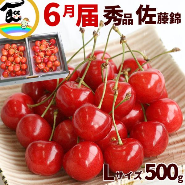 商品内容山形県産 さくらんぼ 佐藤錦500g（250g×2P）秀品 Lサイズ バラ詰め発送時期6月中旬〜6月下旬頃　ご注文受付順、期日及び曜日指定不可。(長期ご不在の場合はご相談下さい。)保存方法到着後は冷蔵庫で保管してください。お召上がり...