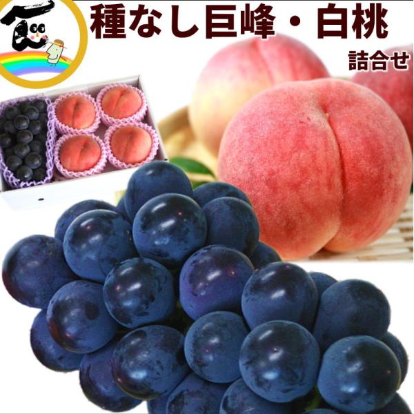商品内容国産種なし巨峰・福島県産白桃　詰合せ巨峰：秀品、400g×1房白桃：秀品、3〜4玉 計900ｇ※品種の指定はご容赦ください。※箱、パッケージは予告なく変更される場合がございます。あらかじめご了承ください。発送時期7月下旬〜8月上旬頃...