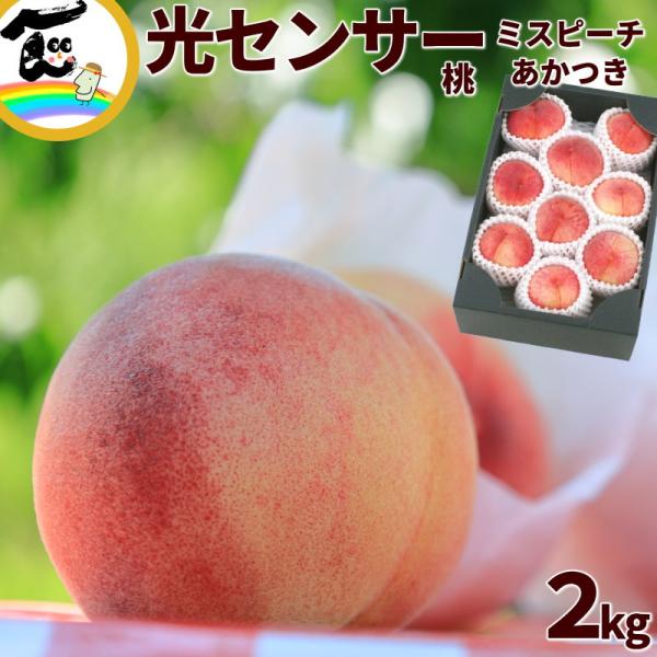 商品内容福島県産 光センサー選果 あかつき桃秀品 2kg (8〜11玉)※箱、パッケージは予告なく変更される場合がございます。あらかじめご了承ください。発送時期7月下旬〜8月上旬頃期日及び曜日指定不可。(長期ご不在の場合はご相談下さい。)※...