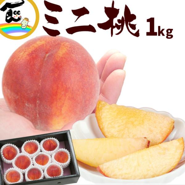 商品内容福島県産 ミニ桃 秀品 1kg（8〜12玉）※品種の指定はご容赦ください。※箱、パッケージは予告なく変更される場合がございます。あらかじめご了承ください。発送時期6月上旬〜6月中旬頃※期日及び曜日指定不可。(長期ご不在の場合はご相談...