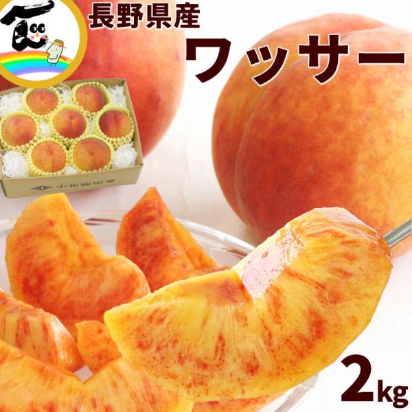 商品内容長野県産　ワッサー　秀品、約2kg（5〜8玉）商品説明8月上旬〜8月中旬頃原材料ワッサー賞味期限生ものなので、お早めにお召し上がりください。保存方法到着後は冷蔵庫で保管してください。硬いと感じる場合は室温(直射日光や冷風が当たらない...