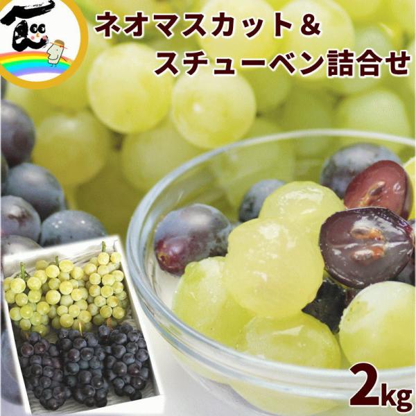 商品内容山形県産 ネオマスカット・スチューベン 詰合せ秀品、各3〜5房　計2kg※箱、パッケージは予告なく変更される場合がございます。あらかじめご了承ください。発送時期9月中旬〜9月下旬頃※収穫状況により発送時期が前後する場合がございます。...