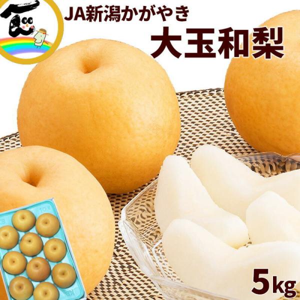商品内容JA新潟かがやき 大玉和梨 秀品 5kg 6〜10玉　※品種おまかせ（新高・新興など）発送時期10月下旬〜11月上旬頃ご注文受付順、期日及び曜日指定不可。(長期ご不在の場合はご相談下さい。)※天候によりお届け時期がずれる場合がありま...