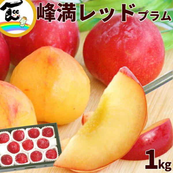 商品内容山形県産 峰満レッド プラム秀品、1kg (9〜12玉)※箱、パッケージは予告なく変更される場合がございます。あらかじめご了承ください。発送時期8月下旬〜9月上旬頃※収穫状況により発送時期が前後する場合がございます。あらかじめご了承...