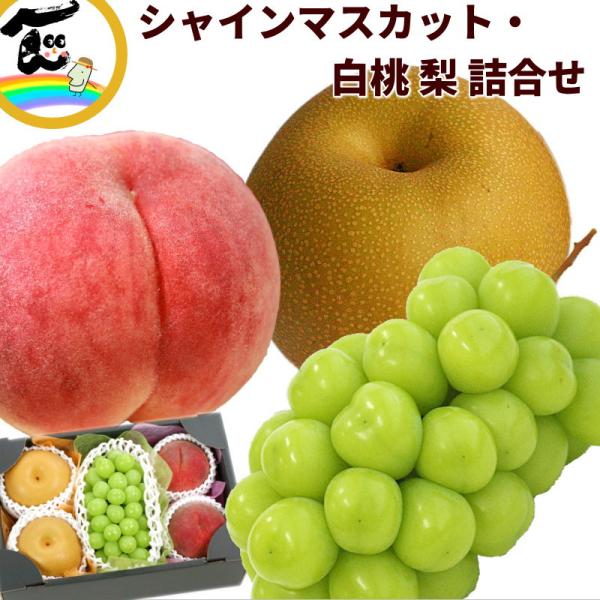 商品内容山形県産　シャインマスカット＆白桃＆梨詰合せ (シャインマスカット ：秀品、1房、500g、白桃：秀品、2個、1個あたり300g、梨(幸水)：秀品、2個、1個あたり300g)発送時期8月下旬〜9月上旬　※天候によりお届け時期がずれる...