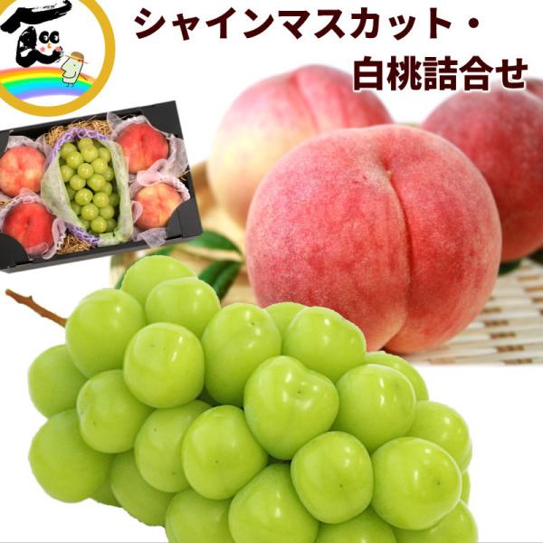 商品内容山形県産　シャインマスカット＆白桃詰合せ (シャインマスカット ：秀品、1房、500g、白桃：秀品、4個)発送時期8月下旬〜9月上旬※天候によりお届け時期がずれる場合がありますがご了承下さい。原材料ぶどう・もも賞味期限生ものなので、...