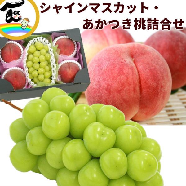 商品内容福島県産シャインマスカット・あかつき 詰合せシャインマスカット ：秀品、550ｇ×1房あかつき桃：秀品、4玉 (1玉/300g)※箱、パッケージは予告なく変更される場合がございます。あらかじめご了承ください。発送時期7月下旬〜8月中...