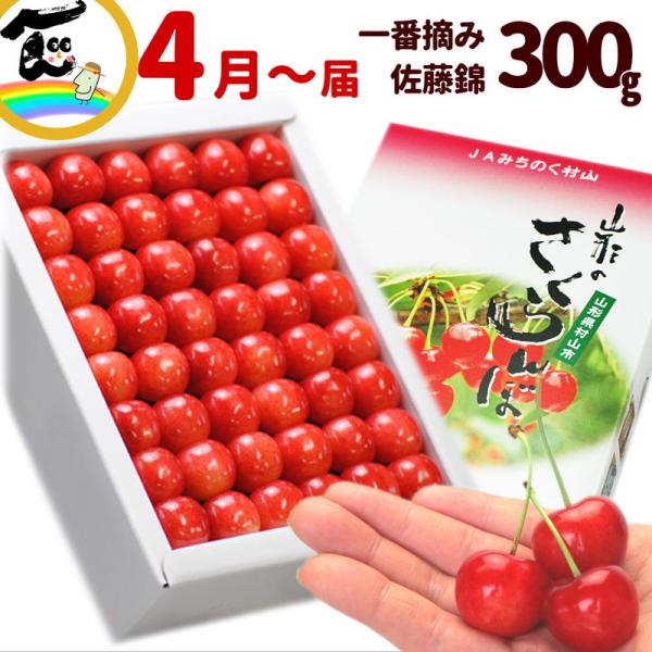 商品内容ハウス加温栽培　山形産さくらんぼ 一番摘み佐藤錦 300ｇ Lサイズ 手詰 化粧箱入商品説明4月よりお届けする価値ある一番摘み佐藤錦雪深い冬の間、ハウスで大切に育てられた希少な佐藤錦の“一番摘み”をお届けします。当社で最も早くお届け...