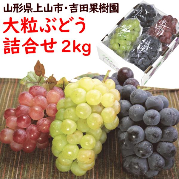 商品内容山形県産 お任せぶどう 3色詰合せ秀品、2kg　(3〜5房)※品種の指定はご容赦ください。※箱、パッケージは予告なく変更される場合がございます。あらかじめご了承ください。発送時期9月下旬〜10月中旬頃※収穫状況により発送時期が前後す...
