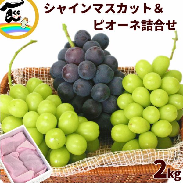 商品内容山形県産 ピオーネ・シャインマスカット 詰合せ秀品、各1〜2房　計2kg※種なし処理を行っていますが天候によりまれに小さい種が残る場合もございます。※箱、パッケージは予告なく変更される場合がございます。あらかじめご了承ください。発送...