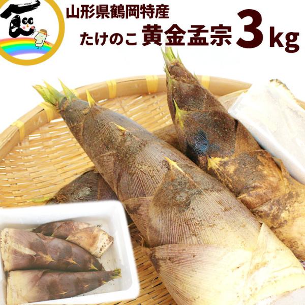 山形県鶴岡市の黄金地区は、昔から孟宗（たけのこ）の産地として知られています。良質の赤土質で育つ孟宗は、瑞々しくてアクが少なく独特の甘みと風味がバツグン。その美味しさから、ほとんどが地元の直売所での販売で売り切れてしまうほどの人気です。あく抜...