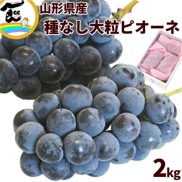 商品内容山形県産 種なしピオーネ 2kg秀品、3〜4房※箱、パッケージは予告なく変更される場合がございます。あらかじめご了承ください。発送時期9月下旬〜10月上旬頃※収穫状況により発送時期が前後する場合がございます。あらかじめご了承ください...
