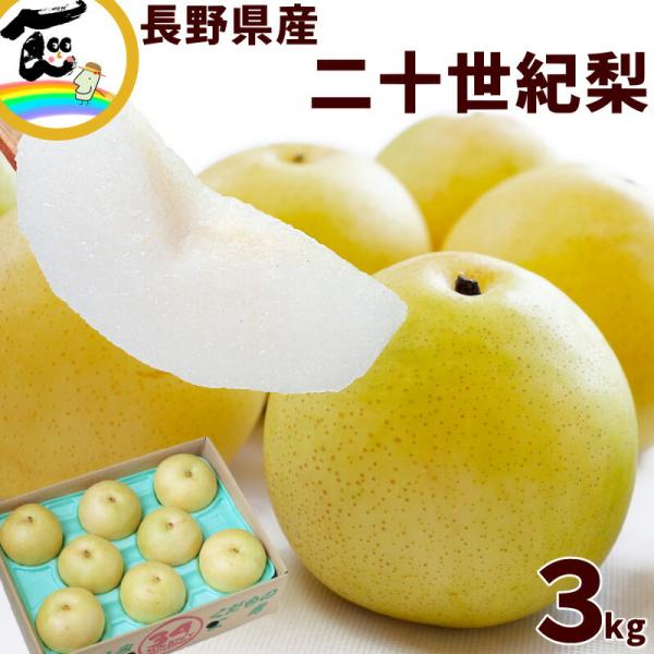 商品内容長野県産 二十世紀梨秀品、3kg (7〜9玉)※一重袋を使用して無袋栽培により近い形で栽培しています、果面が少々荒くなりますが糖度が高く美味しい梨になります。※箱、パッケージは予告なく変更される場合がございます。あらかじめご了承くだ...