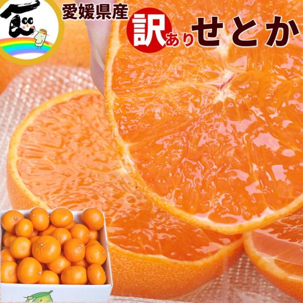 商品内容愛媛産 訳ありせとか 5kg 訳あり品 （傷・サイズ混合）商品説明【訳ありせとか／ご家庭用におすすめ！】外見は不揃いでも中身は絶品！とろける果肉と甘い果汁がたっぷり詰まった濃厚せとか。酸味ひかえめでジューシーな美味しさをお得に楽しめ...