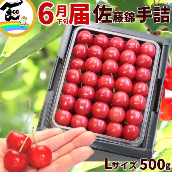 商品内容山形県産　さくらんぼ　佐藤錦秀品 Lサイズ 500g 手詰め※箱、パッケージは予告なく変更される場合がございます。あらかじめご了承ください。発送時期6月下旬〜7月上旬頃※ご注文受付順、期日及び曜日指定不可。(長期ご不在の場合はご相談...