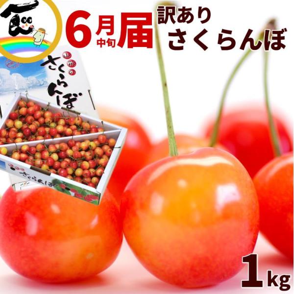 たっぷり楽しみたい方にぴったりのさくらんぼです。旬はわずか2週間ほどと短く、「久しぶりにたくさん食べたい」という方も満足できる内容。ご家庭用の訳あり品ですが、味は自信あり。色むらやサイズ不揃い、双子果が含まれる場合もありますが、甘みと酸味の...