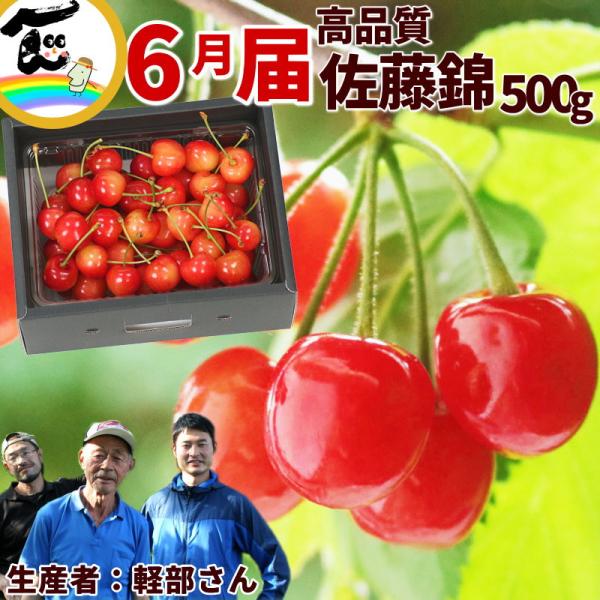 商品内容山形県産　軽部さくらんぼ園　佐藤錦500ｇ　秀品　Lサイズ　バラ詰※箱、パッケージは予告なく変更される場合がございます。あらかじめご了承ください。発送時期6月中旬〜6月下旬頃※ご注文受付順、期日及び曜日指定不可。(長期ご不在の場合は...