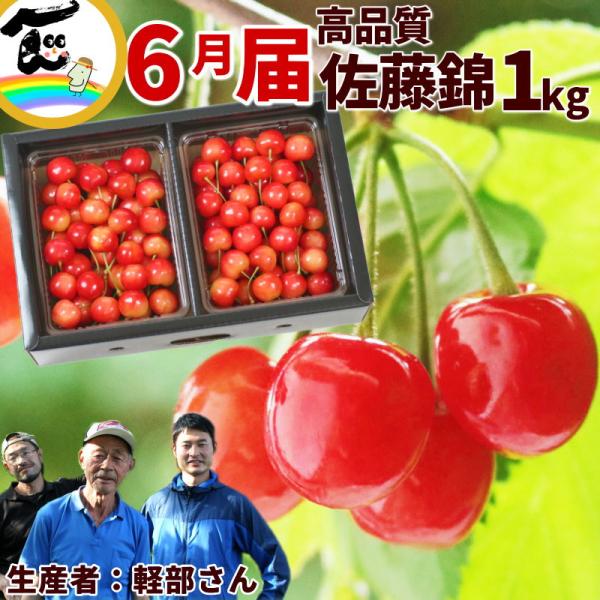 商品内容山形県産　軽部さくらんぼ園　佐藤錦500g×2P　秀品　Lサイズ　バラ詰※箱、パッケージは予告なく変更される場合がございます。あらかじめご了承ください。発送時期6月中旬〜6月下旬頃※ご注文受付順、期日及び曜日指定不可。(長期ご不在の...