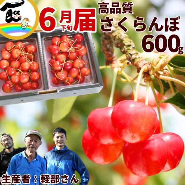 商品内容山形県産　軽部さくらんぼ園　佐藤錦または紅秀峰秀品 Lサイズ 600ｇ(300g×2P) バラ詰め※品種指定はご容赦ください。※箱、パッケージは予告なく変更される場合がございます。あらかじめご了承ください。発送時期6月上旬〜7月上旬...