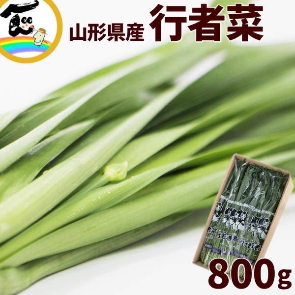 行者にんにくとニラを交配させて誕生した新野菜「行者菜（ぎょうじゃな）」。根元の茎は太く、葉はニラのように平たく伸びているのが特徴で、食欲を増進させるようなにんにくの香りとシャキシャキの歯ごたえがあり、栄養が豊富なことから滋養強壮にも良い野菜...