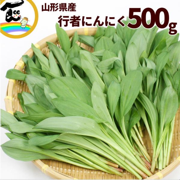 商品内容山形県産 行者にんにく (栽培もの) 500g商品説明にんにくの風味が食欲をそそり元気が出る、春の山菜、行者にんにく！限られた場所、限られた季節の幻の山菜の行者にんにく。天ぷら、炒め物、おひたし等簡単調理で美味しい味わいが楽しめます...